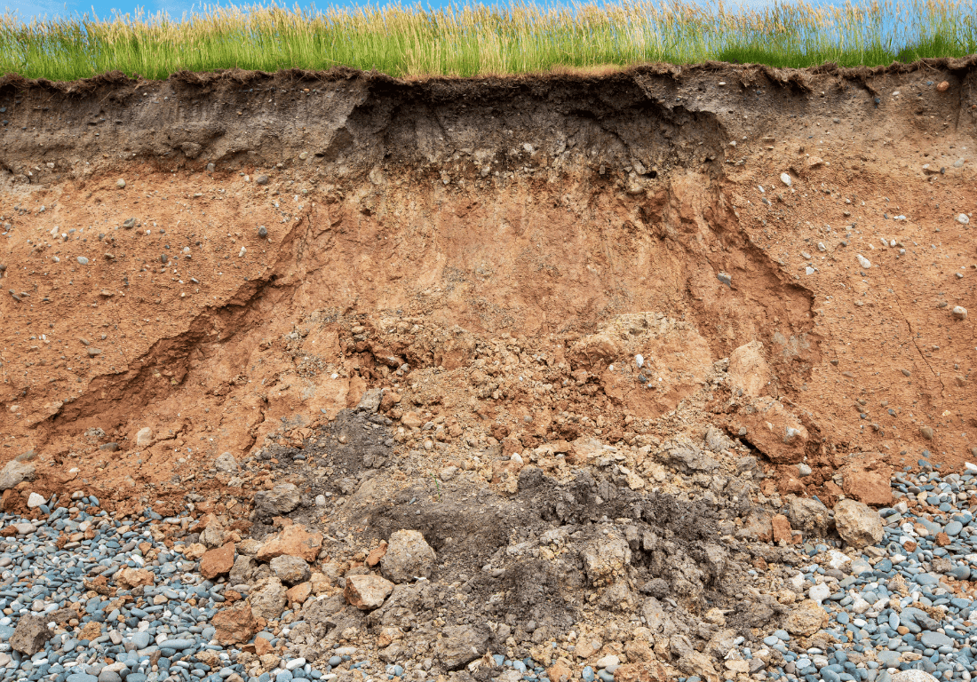 The Importance of Grading Services for Soil Erosion Prevention